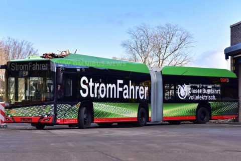 DSW stromert los - omnibus.news